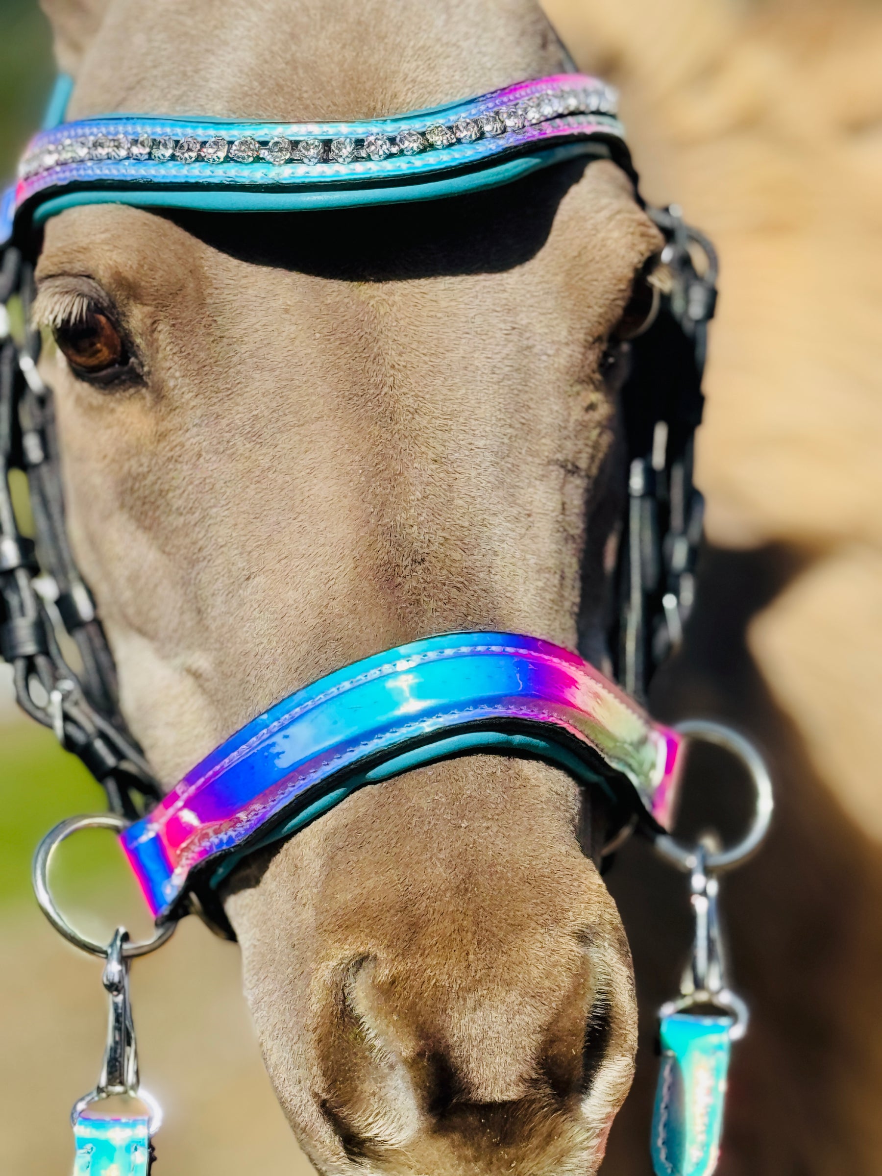 Holographic Side Pull Bridle & Reins Set (Mini to Horse Size)