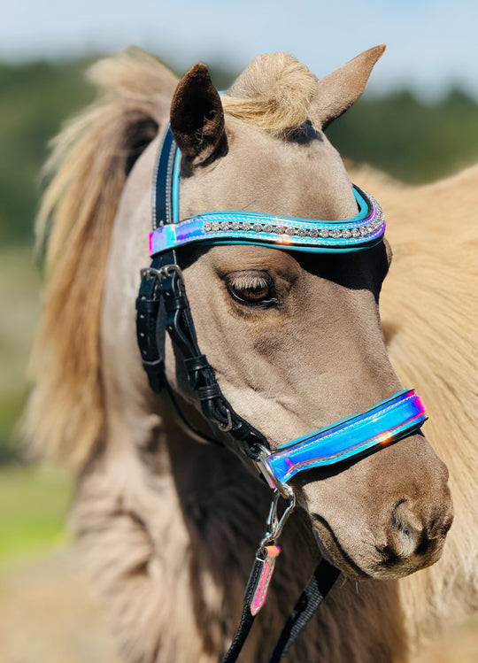 Holographic Side Pull Bridle & Reins Set (Mini to Horse Size)