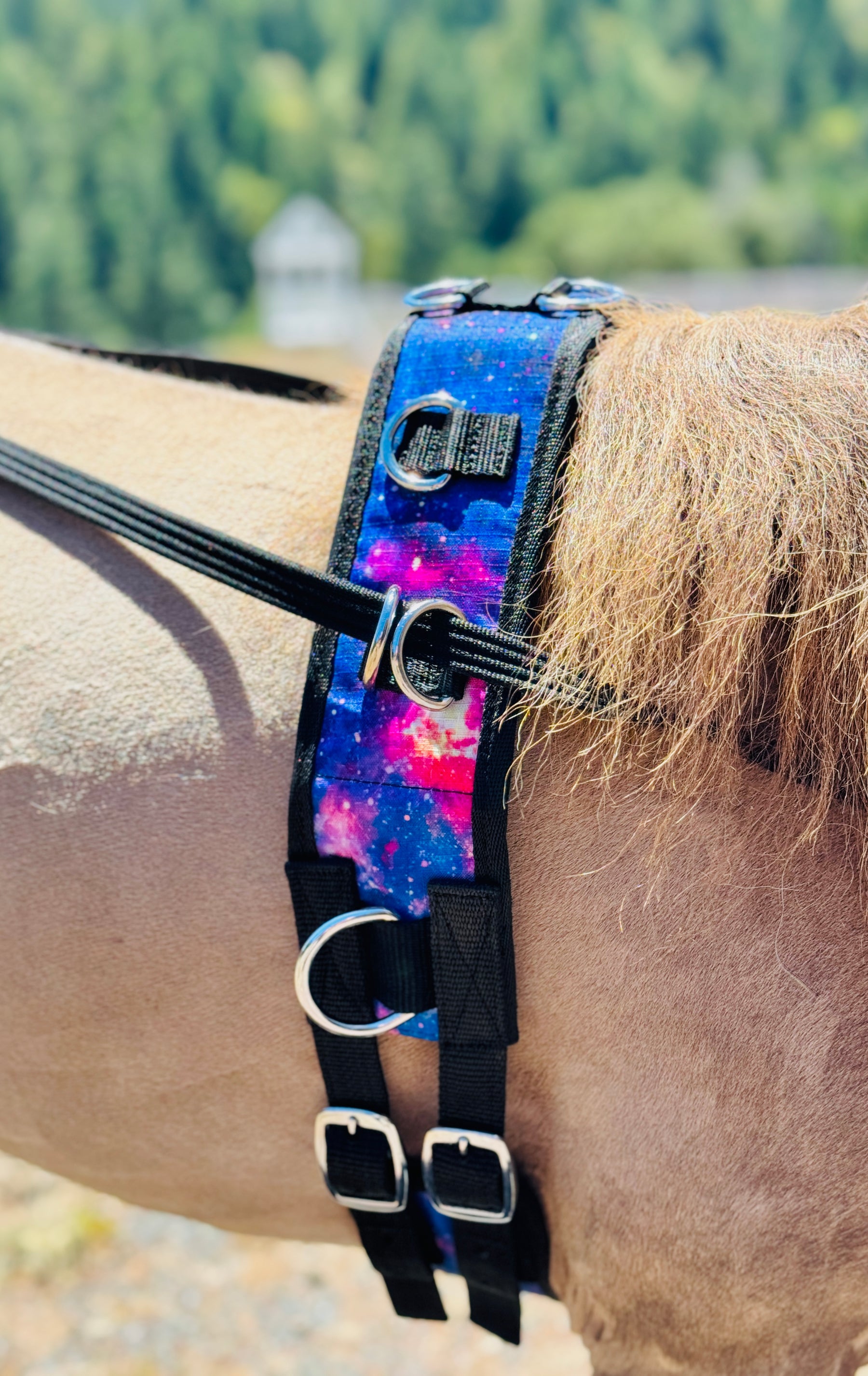 Miniature Horse-Pony Ground Driving Surcingle/Reins Set