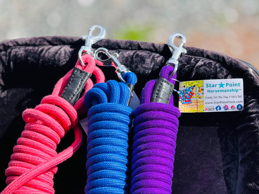 Harnesses & Driving Equipment | Quality Tack for Mini Horses