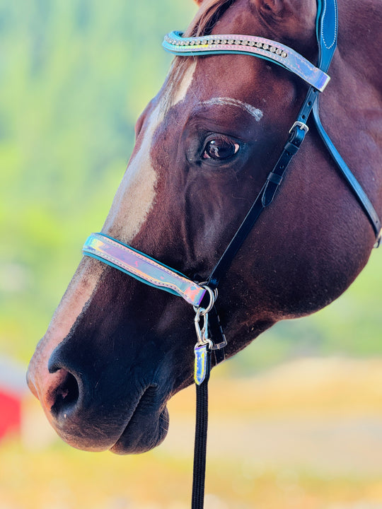 Holographic Side Pull Bridle & Reins Set (Mini to Horse Size)