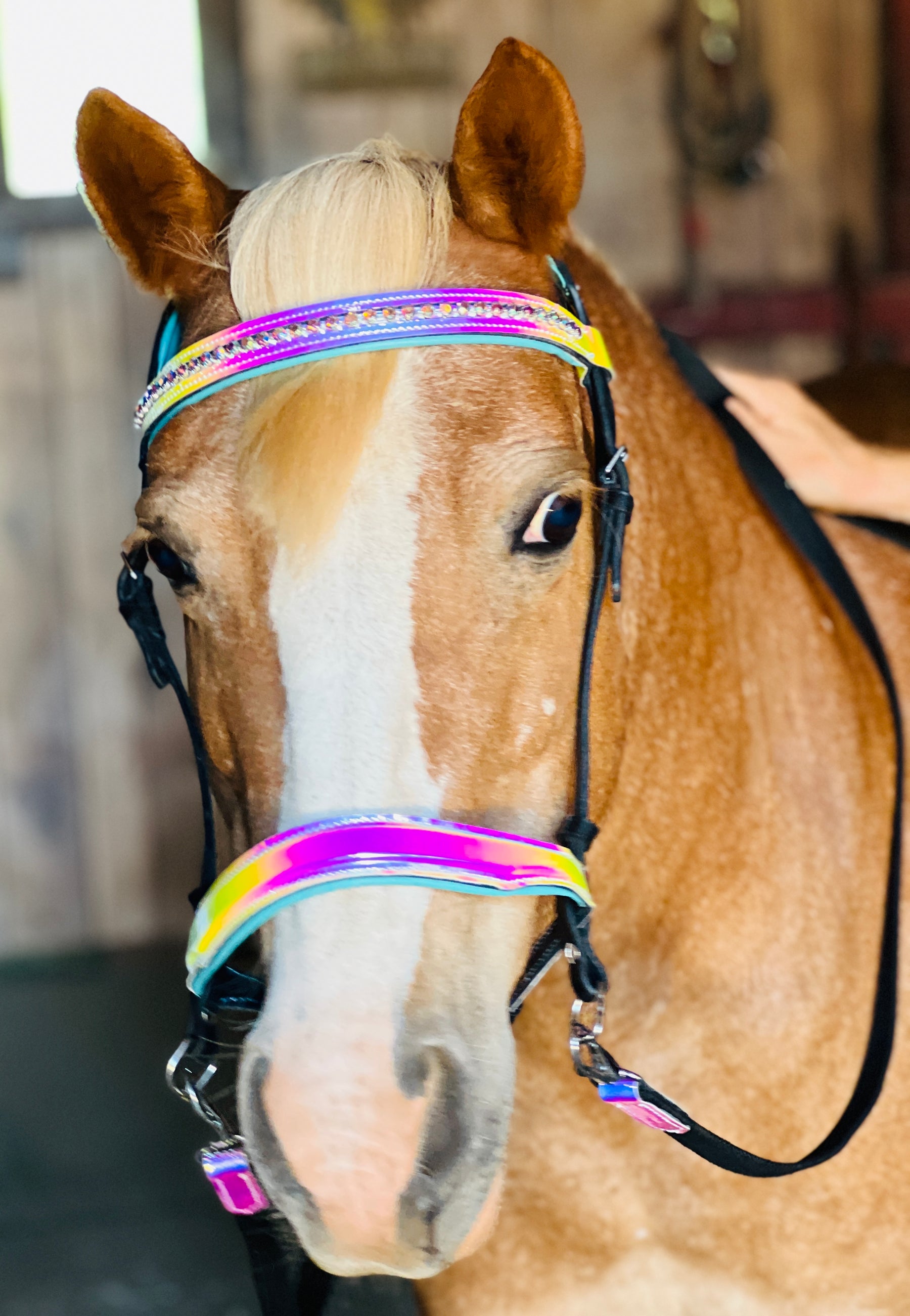Miniature Horse - Pony Holographic Leather Bridle/Reins Set