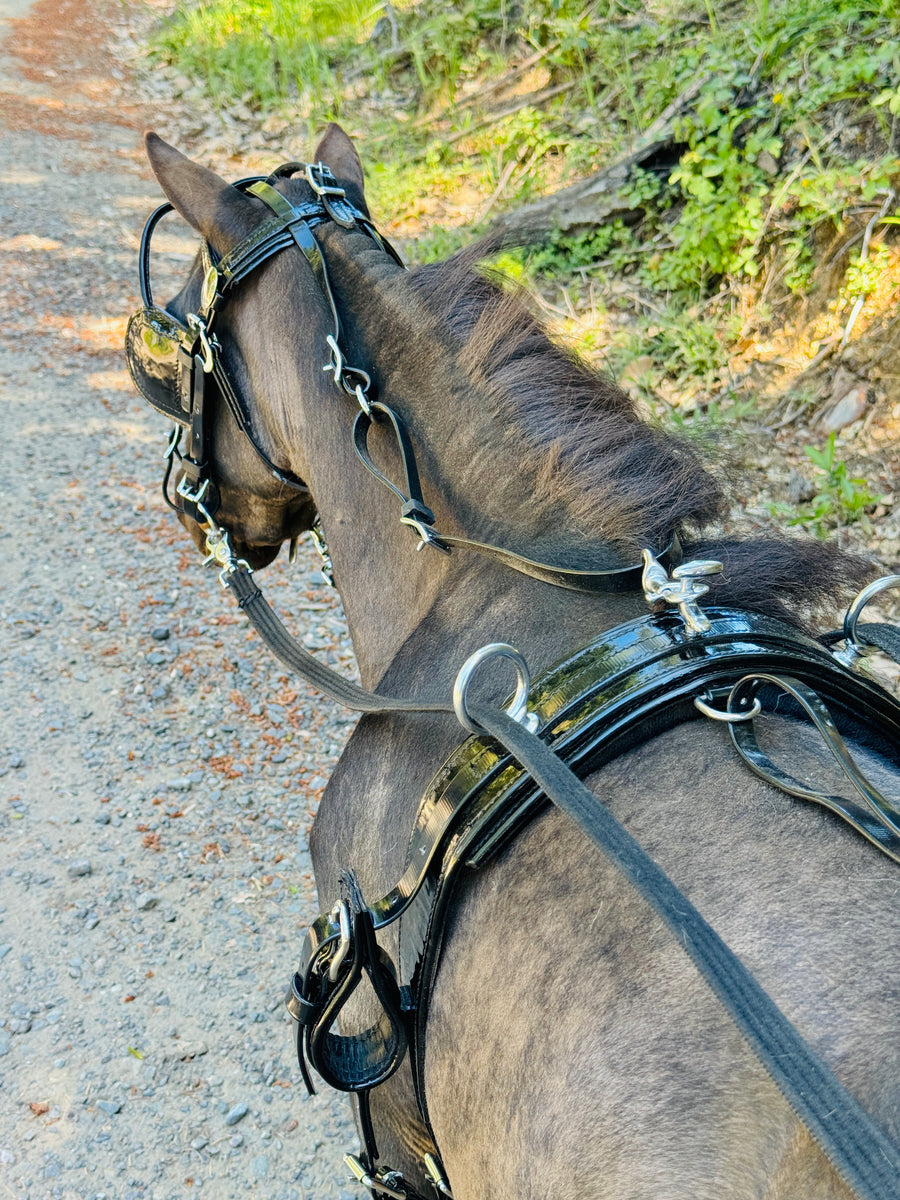 Harnesses & Driving Equipment | Quality Tack for Mini Horses