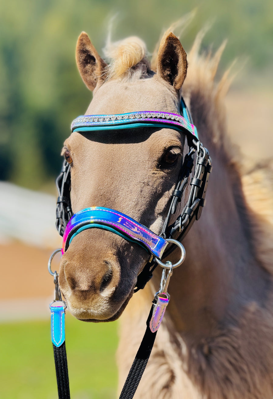 Holographic Side Pull Bridle & Reins Set (Mini to Horse Size)