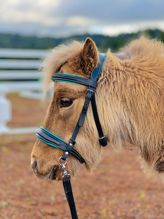 Harnesses & Driving Equipment | Quality Tack for Mini Horses